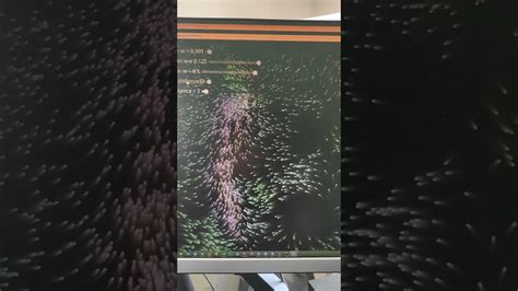 Boids Simulation 5k Particles Godot 4 Compute Shaders Shorts