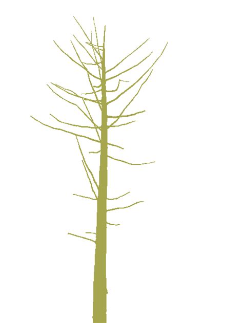 Urban Street Branch Dataset Ninja