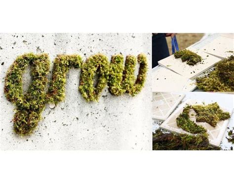 Celebrate The Last Day Of Classes With Diy Moss Art Moss Graffiti Moss Art Garden Art Projects