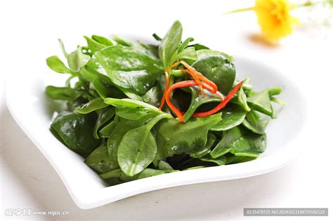 药食田七苗摄影图传统美食餐饮美食摄影图库昵图网