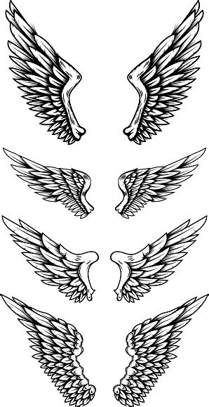 문신 스타일의 독수리 날개 세트입니다 라벨 기호 포스터 티셔츠의 디자인 요소 벡터 일러스트레이션 검은색에 대한 스톡 벡터 아트
