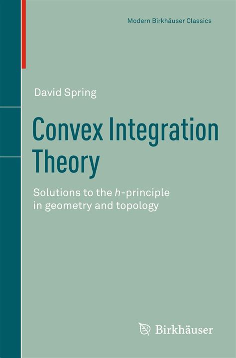 convex integration theory solutions to the h principle