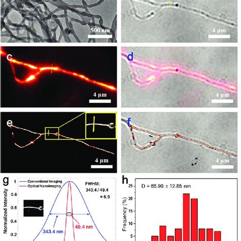 Single Wavelength Controlled Super Resolution Fluorescence Imaging Download Scientific Diagram