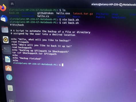 Bash Vs Python Scripting A Simple Practical Guide Dev Community
