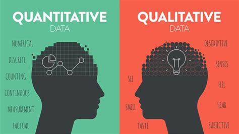 Datapedia Qualitative Data Vs Quantitative Dataand More Visualitics