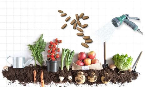 Захиалгын групп ашигтай бактери витамин