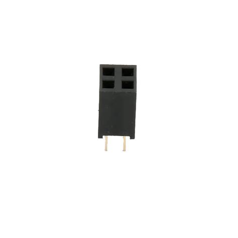 Gpio Female Socket Header 2x2 4 Pin Elektronica Voor Jou