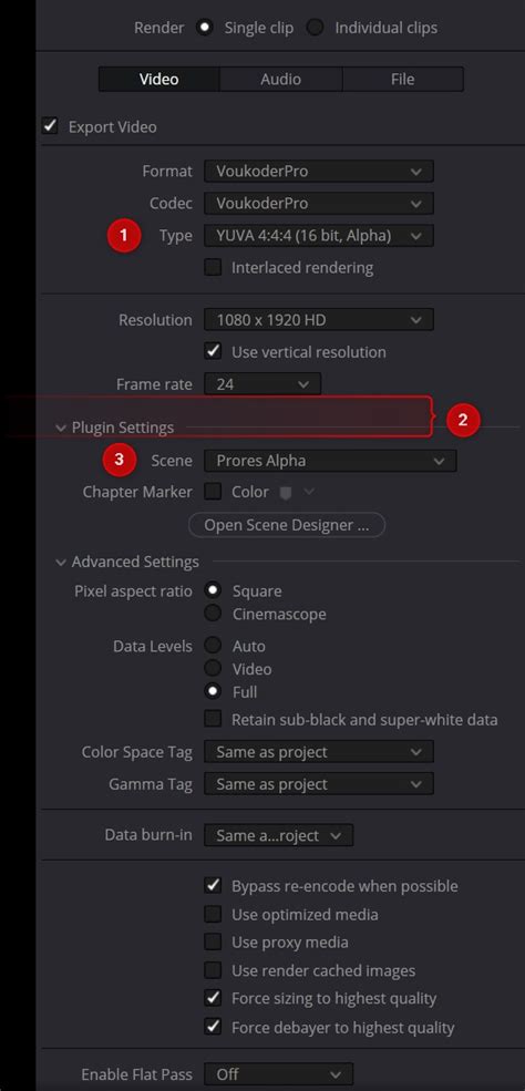 Voukoder Plugin For Davinci Resolve Appears Successful But Is Non Functional Bug Reports