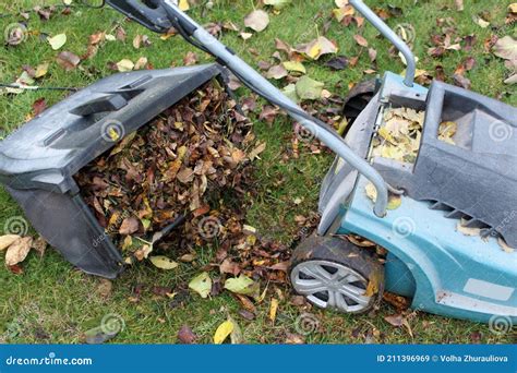 An Open Lawn Mower Container Filled With Clipped Grass And Leaves