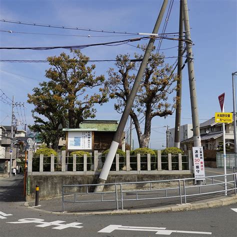 OSUMI SHRINE OTABISHO (2025) All You Should Know BEFORE You Go (with Photos)