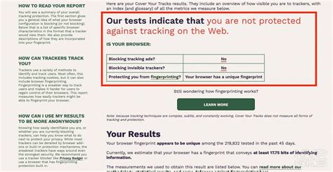 How To Check If Your Browser Is Leaking Private Data NoypiGeeks
