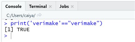 r 语言 基本数据类型 verimake