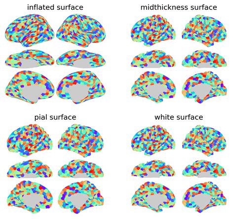 Welcome To Brainplotlib