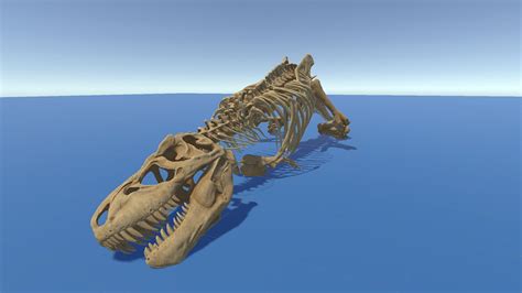 Trex Sue Skeleton Unreal Engine Unity Projects 3d Model Turbosquid 2202266
