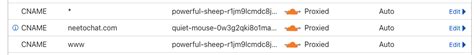 setting up heroku dns using cloudflare
