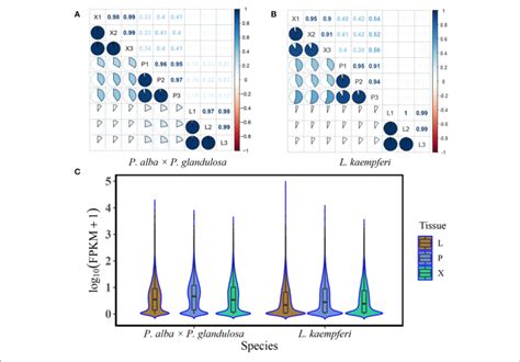 Correlation Analysis And The Gene Expression Distributions Of Download Scientific Diagram