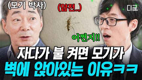 유퀴즈온더블럭 엄청 커다란 모기🦟가 내 발을 물고도 도망가지 않는다⁉️ 바로 모기의 ‘이런 습성 때문💥 Youtube