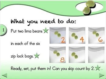 Bean Experiment Animated Step By Step Science Project Regular By Bloom