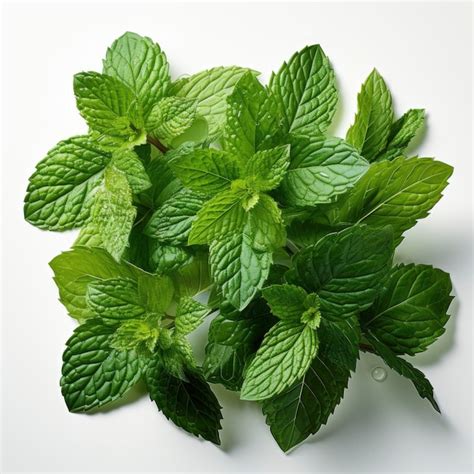Premium Photo Close Up Mint Leaves Hd On White Background
