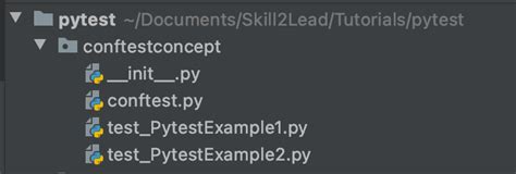 pytest conftest