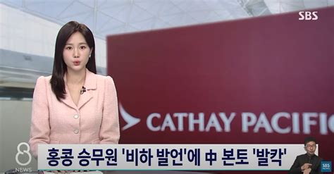 중국인 조롱했다 해고된 홍콩 승무원 유머 움짤 이슈 에펨코리아