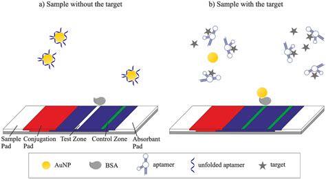 Aptamer Based Lateral Flow Assays