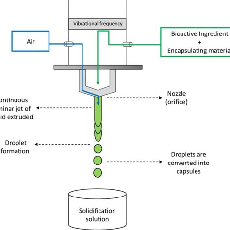 Stages Of The Encapsulation Process Of Bioactive Ingredients By