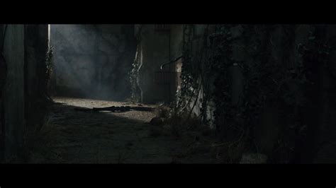 The Maze Runner The Maze