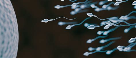 How Do You Convince Couples To Use Natural Fertility Methods