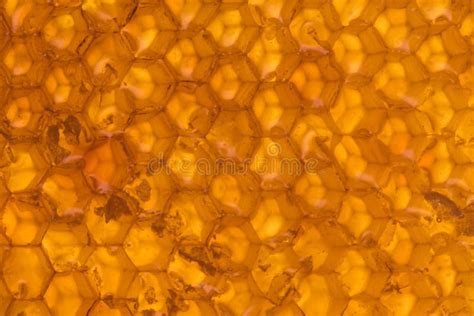 Uncapped Golden Honey Stock Image Image Of Viscosity 112937193