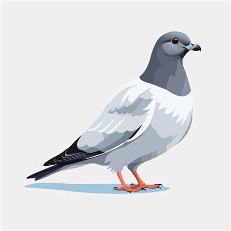 Piegeon Vectors Premium Ai Generated Vector