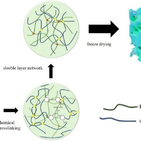 Schematic Illustration Of The Cellulosepegda Film Preparation Download Scientific Diagram