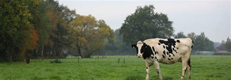 Request An Everyday Biosecurity Kit Center For Dairy Excellence