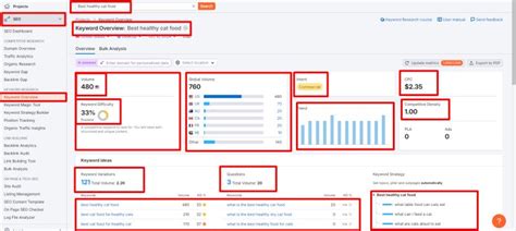 Wp Dev Squad On Linkedin Devamir74 Seo Seoexpert Seoservices
