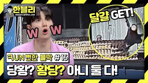 스페셜 계란 주인 난감하게 만든 도둑의 정체 당황스럽고 황당한 사건 사고들 Fun뻔한 블박 16 한블리 한문철의