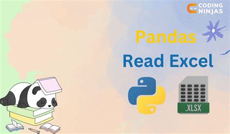 How To Read Excel A File In Python Naukri Code 360