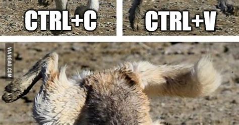 The Problem Of Newbie In Coding Album On Imgur