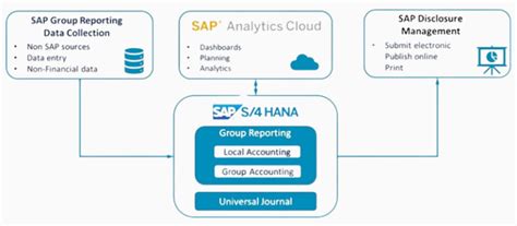 SAP Group Reporting IOCFO