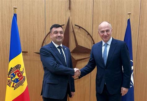 Adrian Efros A Discutat Cu Secretarul General Adjunct Al Nato Mircea Geoană La Bruxelles