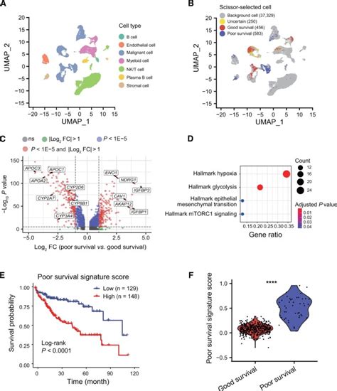 Hccdb V20 Decompose Expression Variations By Single Cell Rna Seq And Hccdb V20 Decompose Expression Variations By Single Cell Rna Seq And
