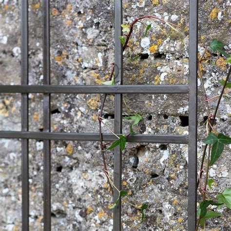 Buy Rectangular Steel Floor Trellis Delivery By Crocus