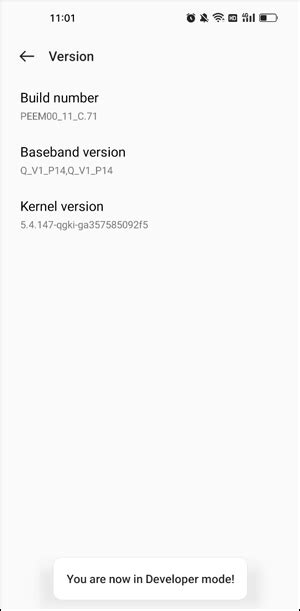 How To Enable Developer Mode On Android Disable Way Included