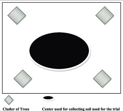 Sampling Design Of Soil Collection Download Scientific Diagram