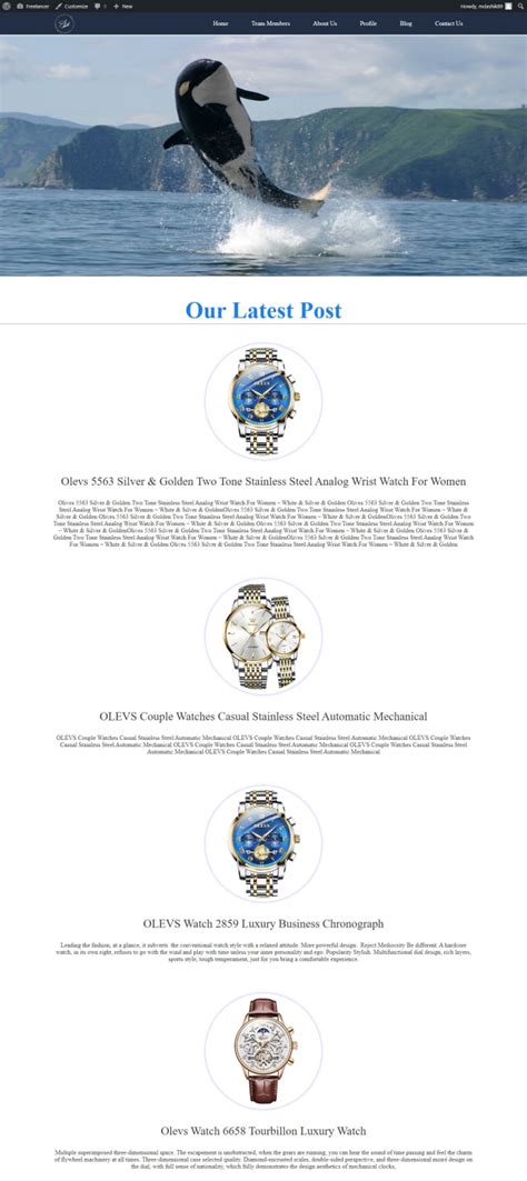 12 Best Freelance Css3 Experts For Hire In March 2025