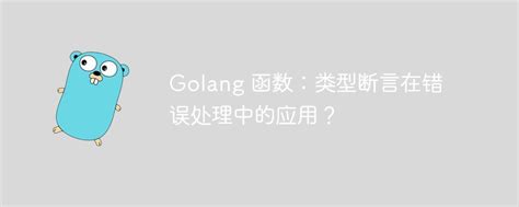 Golang 函数：类型断言在错误处理中的应用？ Golang学习网