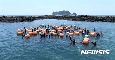 해양쓰레기로 인한 어장오염 제주해녀 생업 위협