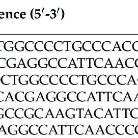 Primers And Probe Used In This Work Download Scientific Diagram