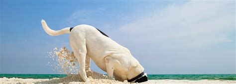 Process Discovery And Mining