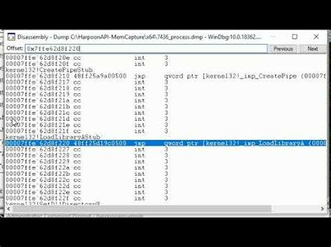 Go To The Memory Address In The Disassembler YouTube