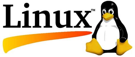 Como Mover Ou Copiar Arquivos Ou Pastas No Linux